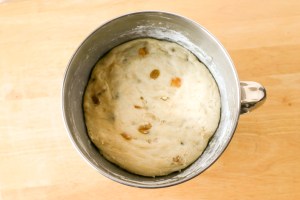 Just What We Kneaded – Eat, Play, Love