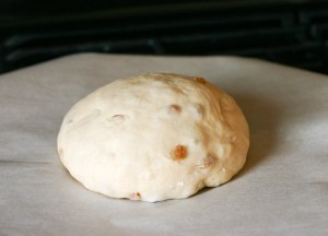 Just What We Kneaded – Eat, Play, Love